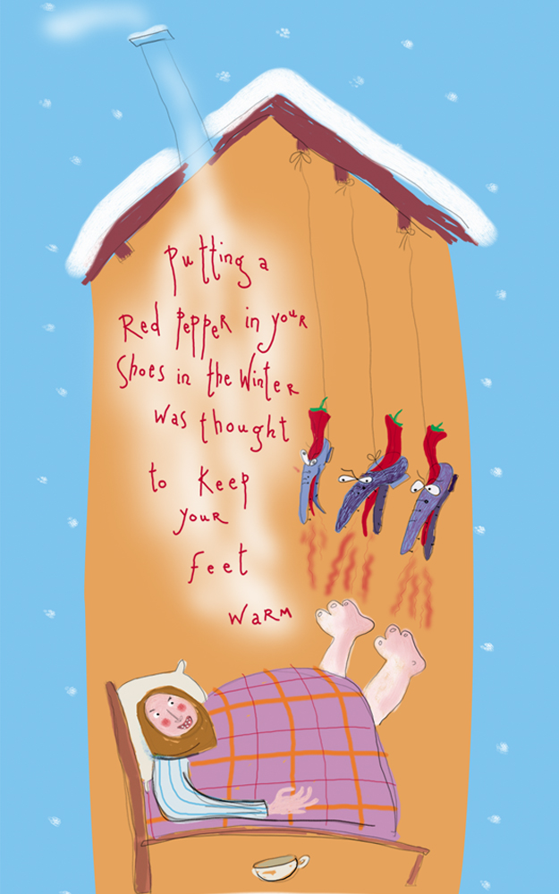 gill bradley design | Illustration Projects